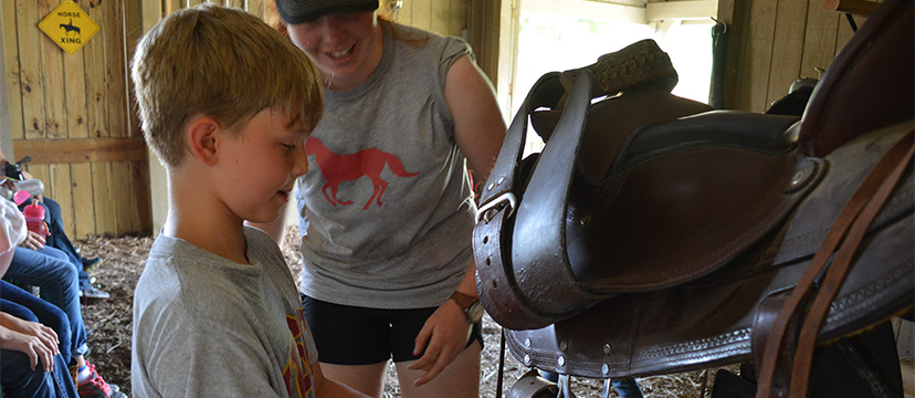 Junior Ranch | Joe C. Davis YMCA Outdoor Center